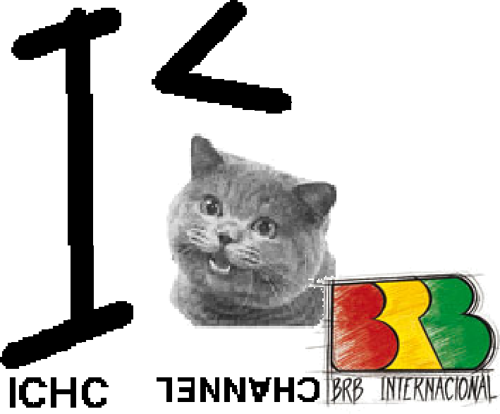 Ichc Channel Brb Internacional Logo New - Happy Cat Plain Meme (709x587 ...