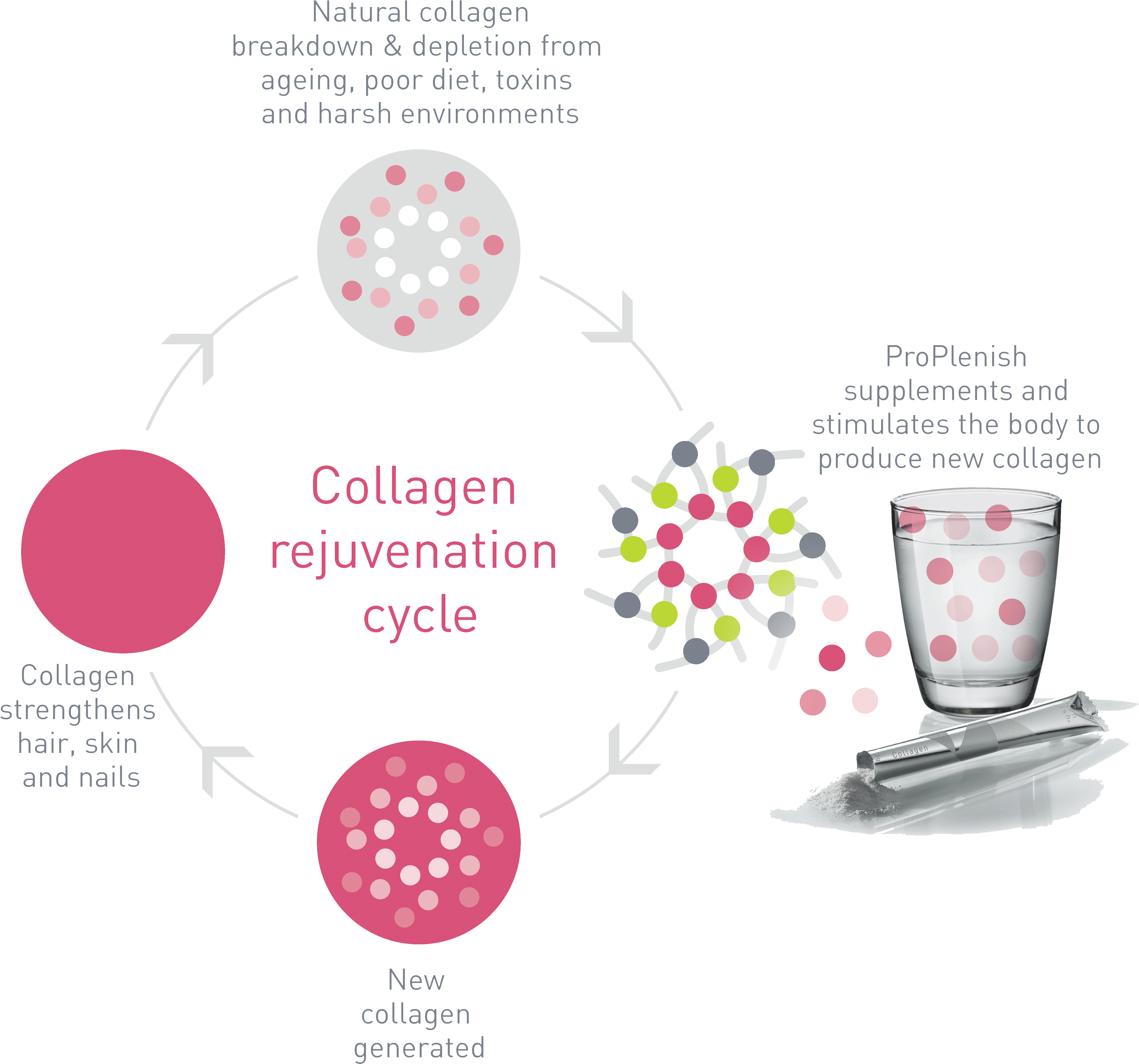 Download Proplenish-picto - Collagen Logo | Transparent PNG Download ...
