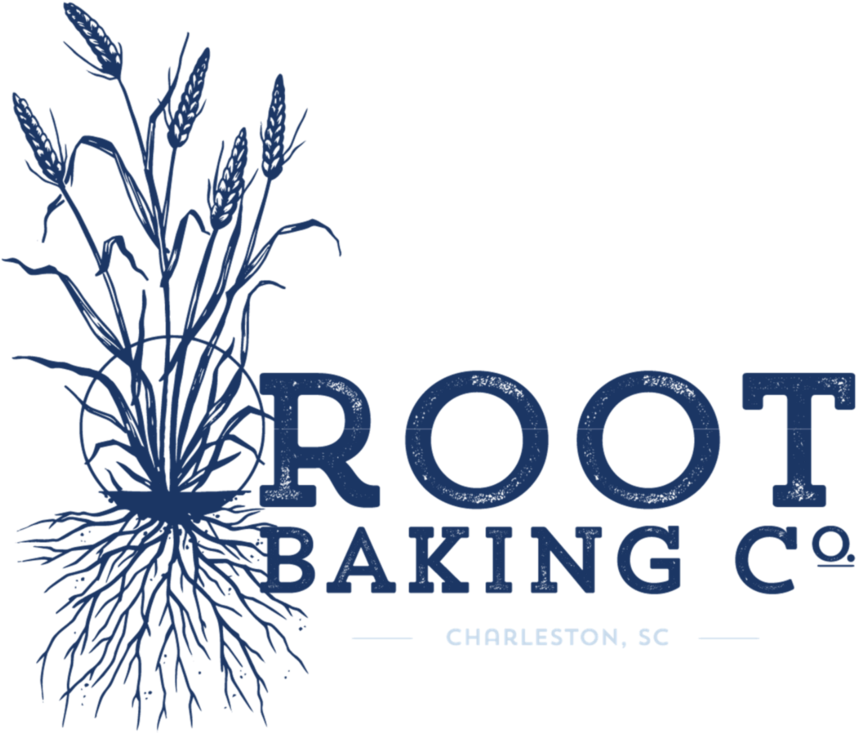 Download Root Logo | Transparent PNG Download | SeekPNG