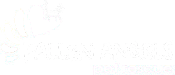 Download Fallen Angels Logo - Graphic Design | Transparent PNG Download ...