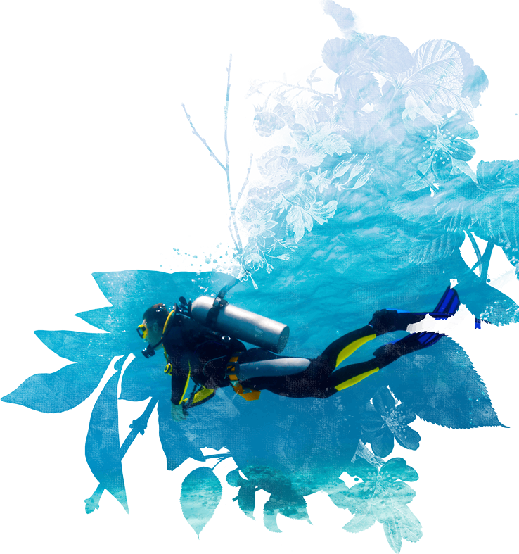 Download Img - Scuba Diving | Transparent PNG Download | SeekPNG