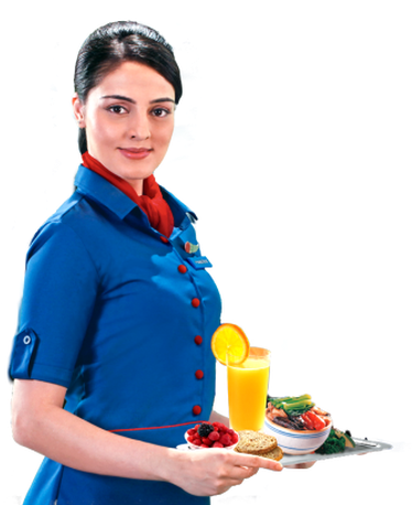 Fill The Enquiry Form - Air Hostess Png (380x457), Png Download