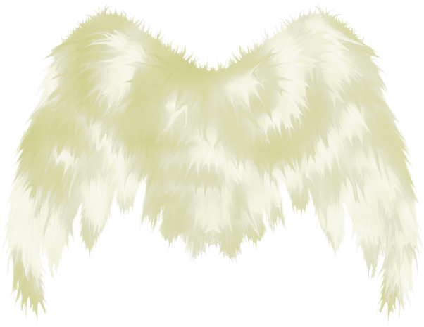 Psp Tubes, Frames & Tagbacks - Portable Network Graphics (613x613), Png ...