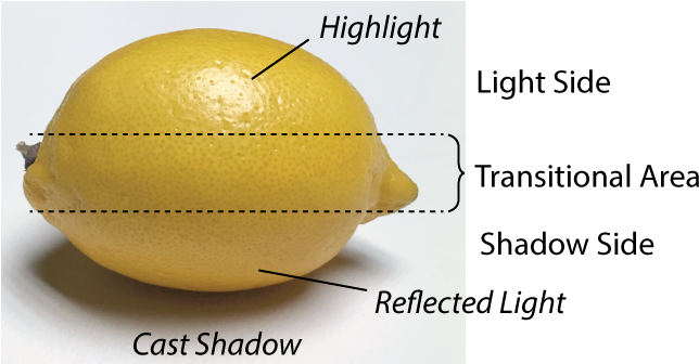 Lemon Chart - Lemon (655x335), Png Download