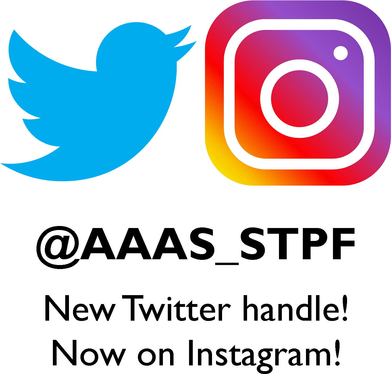 New Social Media - Twitter Instagram Logo Png (1440x1440), Png Download