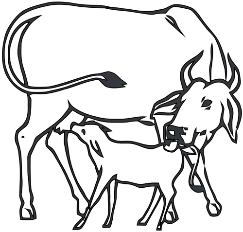 Why Is Bjp Doing Cow Politics - Cow And Calf Drawing (602x540), Png ...