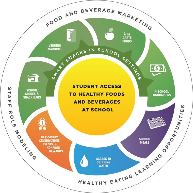 Download Png - High School Health Infographic | Transparent PNG ...