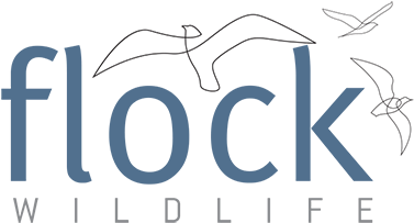 Flock Logo 450px - Electric Blue (450x269), Png Download
