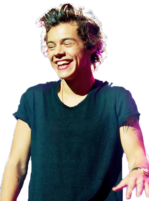 Harry Styles Transparent Background - Harry Styles (500x700), Png Download