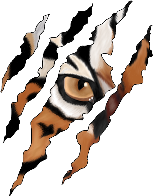 Tiger Scratch Png Download - Tiger Scratch (797x893), Png Download