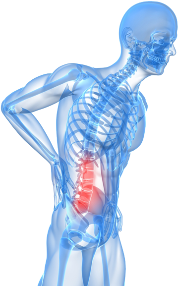 Back Pain Red Woodinville Sport Spine Your Key To Health - Back Pain ...