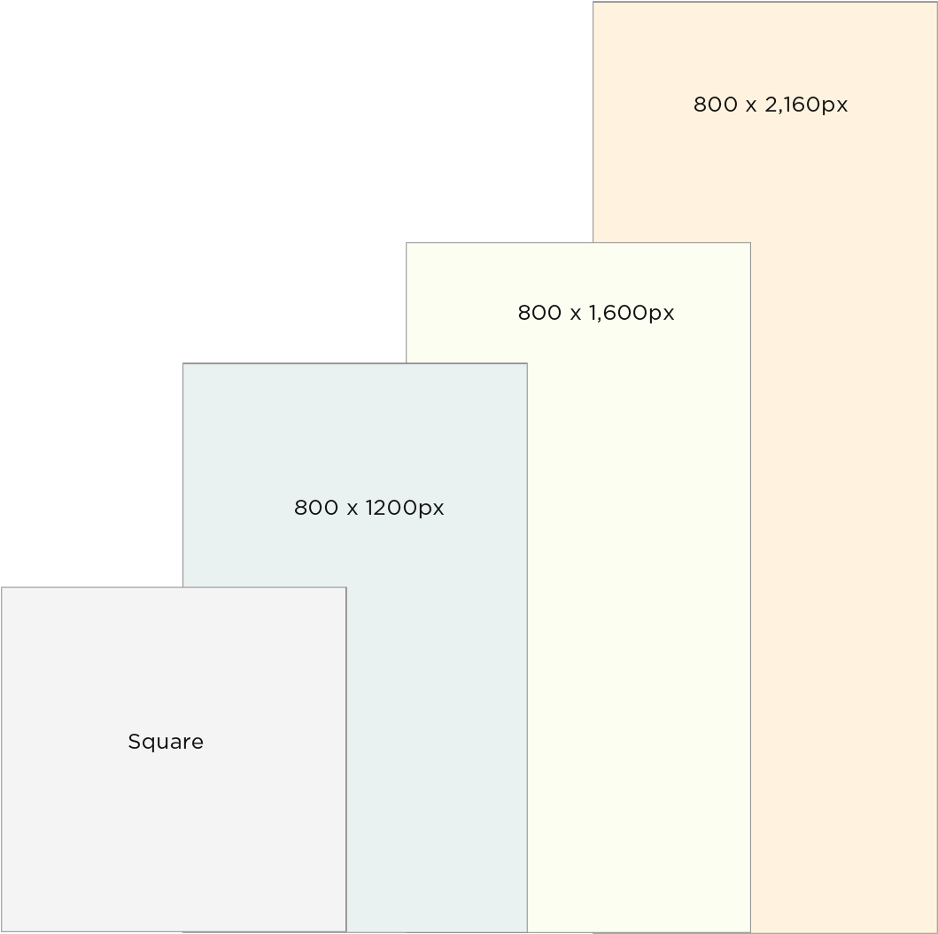 Download Pinterest Image Sizes - Pinterest | Transparent PNG Download ...