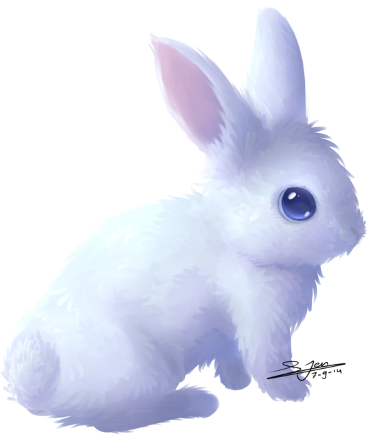 Fat Rabbit Transparent Png Banner Download - Rabbit (600x680), Png Download