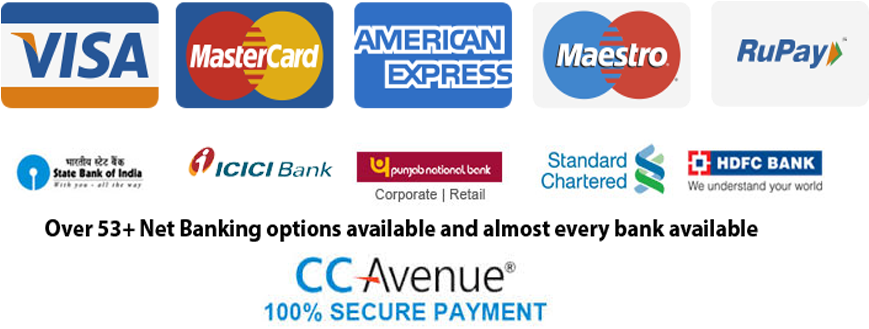 Credit Card Server Payment - 12 American Express Logo Decal Sticker For ...
