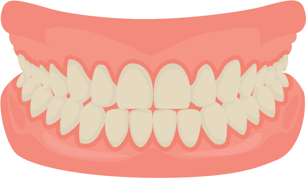 Human Tooth Smile Mouth Dentistry - Gums Vector (1018x724), Png Download