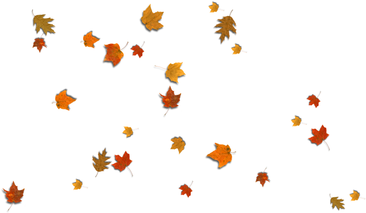 Download Falling Autumn Leaves Png - Fall Sale | Transparent PNG ...