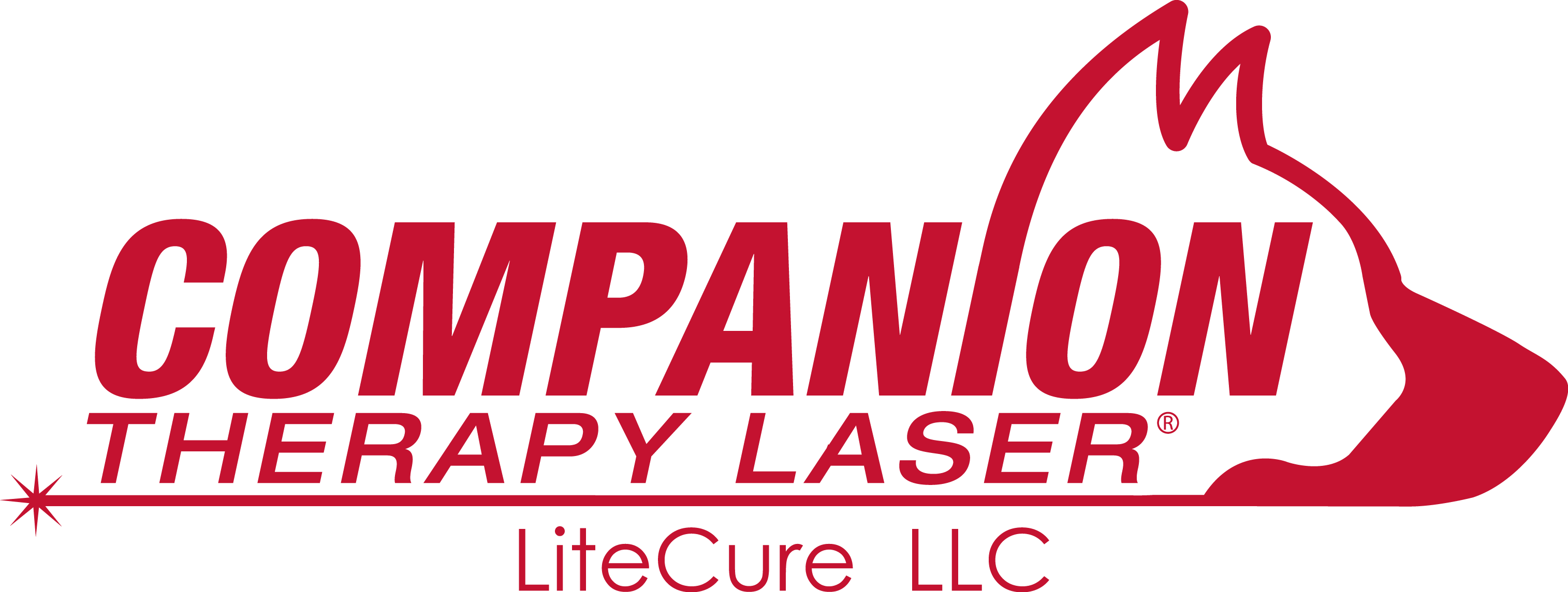 Companion Logo - Companion Laser (3029x1145), Png Download