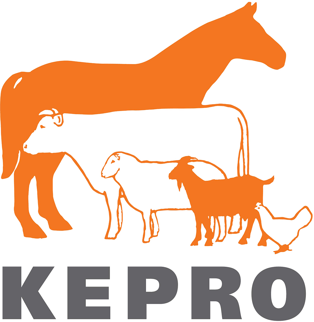 Sign In Create Account - Kepro Logo (1000x1026), Png Download