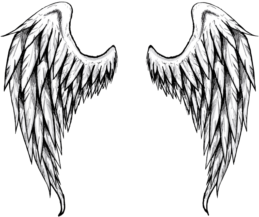 Angel Wing Drawing Png (1023x873), Png Download