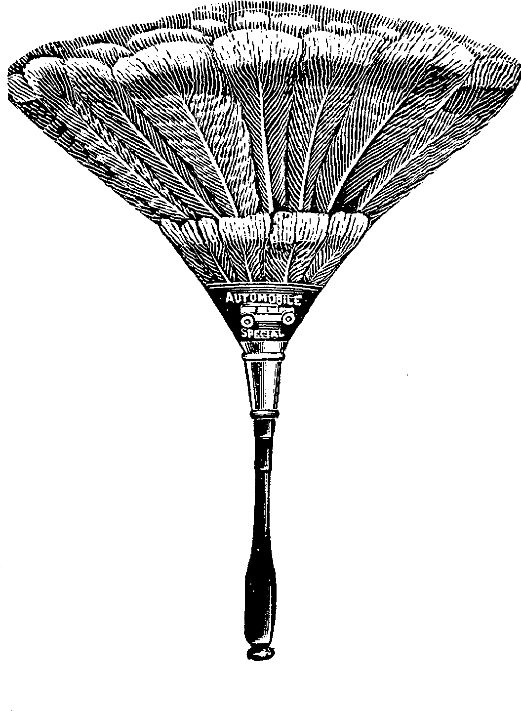 It's Beautifully Detailed With All Those Fluffy Feathers - Clip Art ...