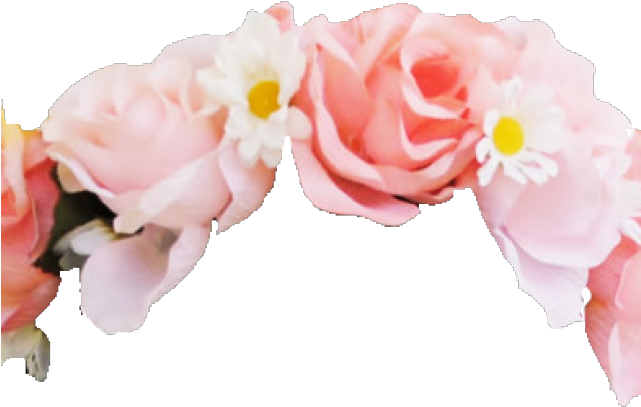 Download Snapchat Clipart Transparent Background - Flower Crown Clip ...