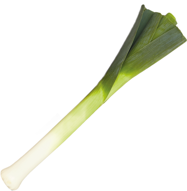 Leek Png - Transparent Leek (640x640), Png Download