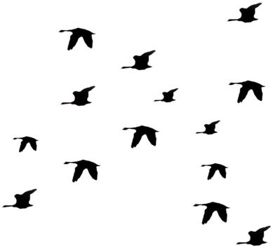 Flying Bird Png Image - Black Bird Flying Away (472x420), Png Download