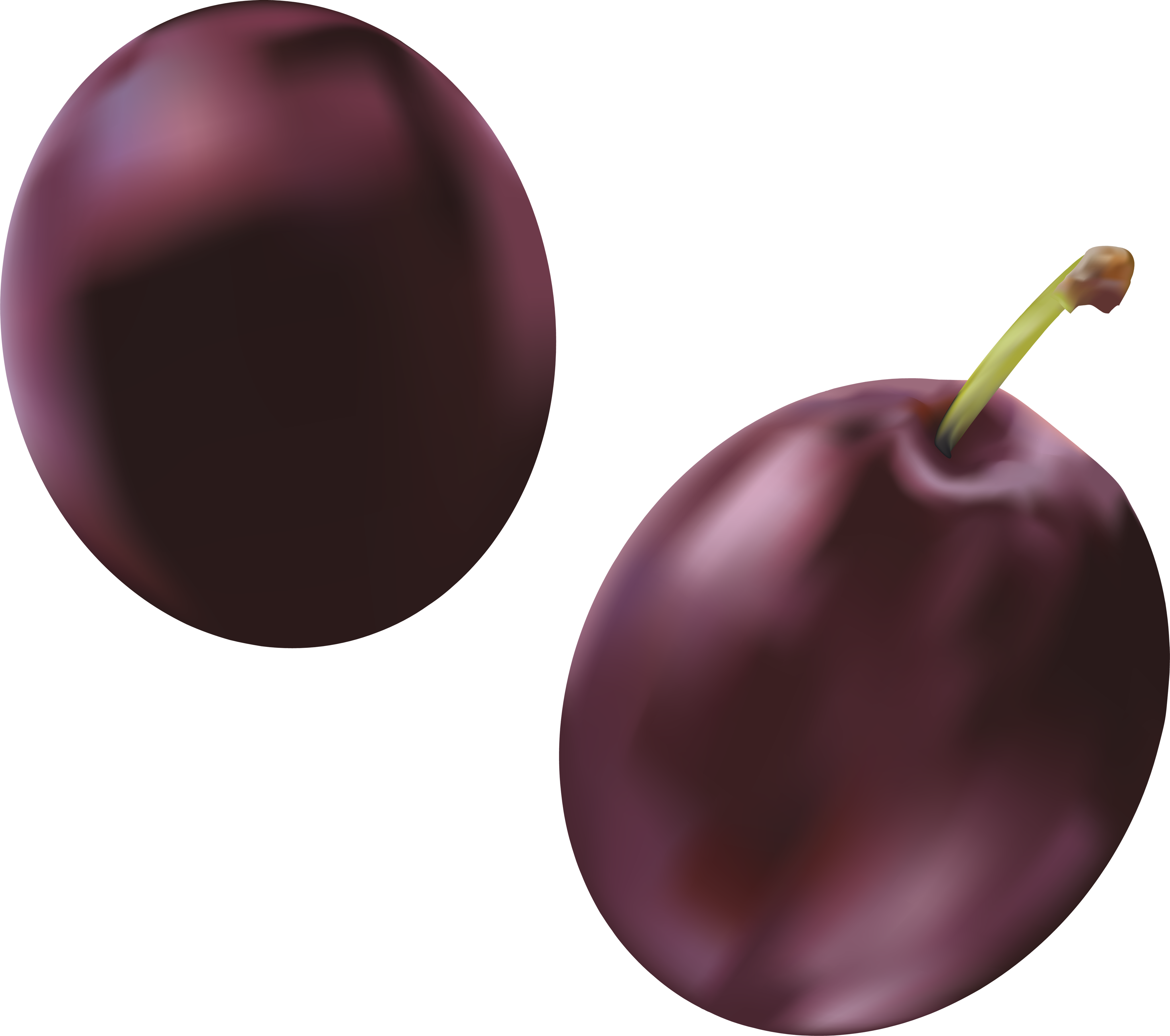 Plum Png Image - Sliva Clipart (3502x3101), Png Download