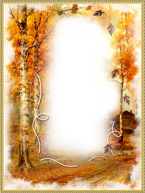Download Fall Leaves Frame Background - Picture Frame | Transparent PNG ...