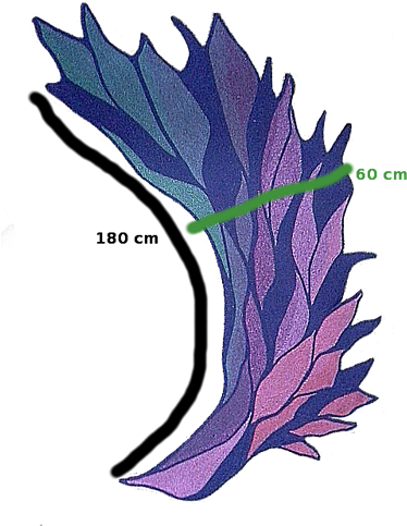 Download Phoenix Wing / Phoenix Flügel Pattern By Nadine Schwingler ...