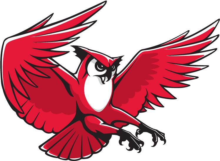 Print - Keene State College Owls Logo (800x595), Png Download