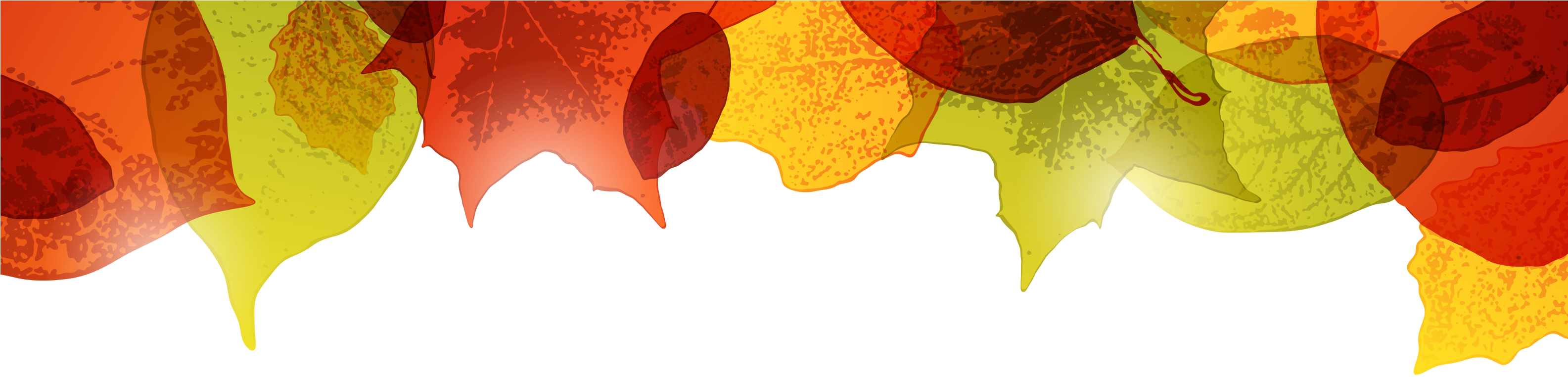 Clipart Resolution 3169*770 - Fall Leaf Border Png (900x219), Png Download