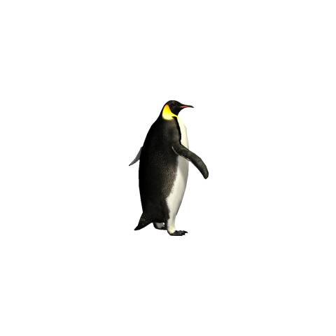Aurora Designs Emperor Penguin - Penguin (480x480), Png Download