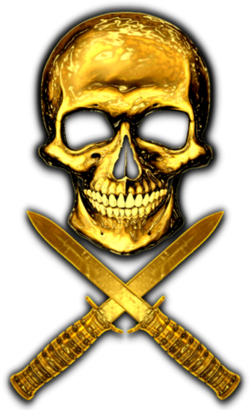 Download Gold Skull - Photograph | Transparent PNG Download | SeekPNG