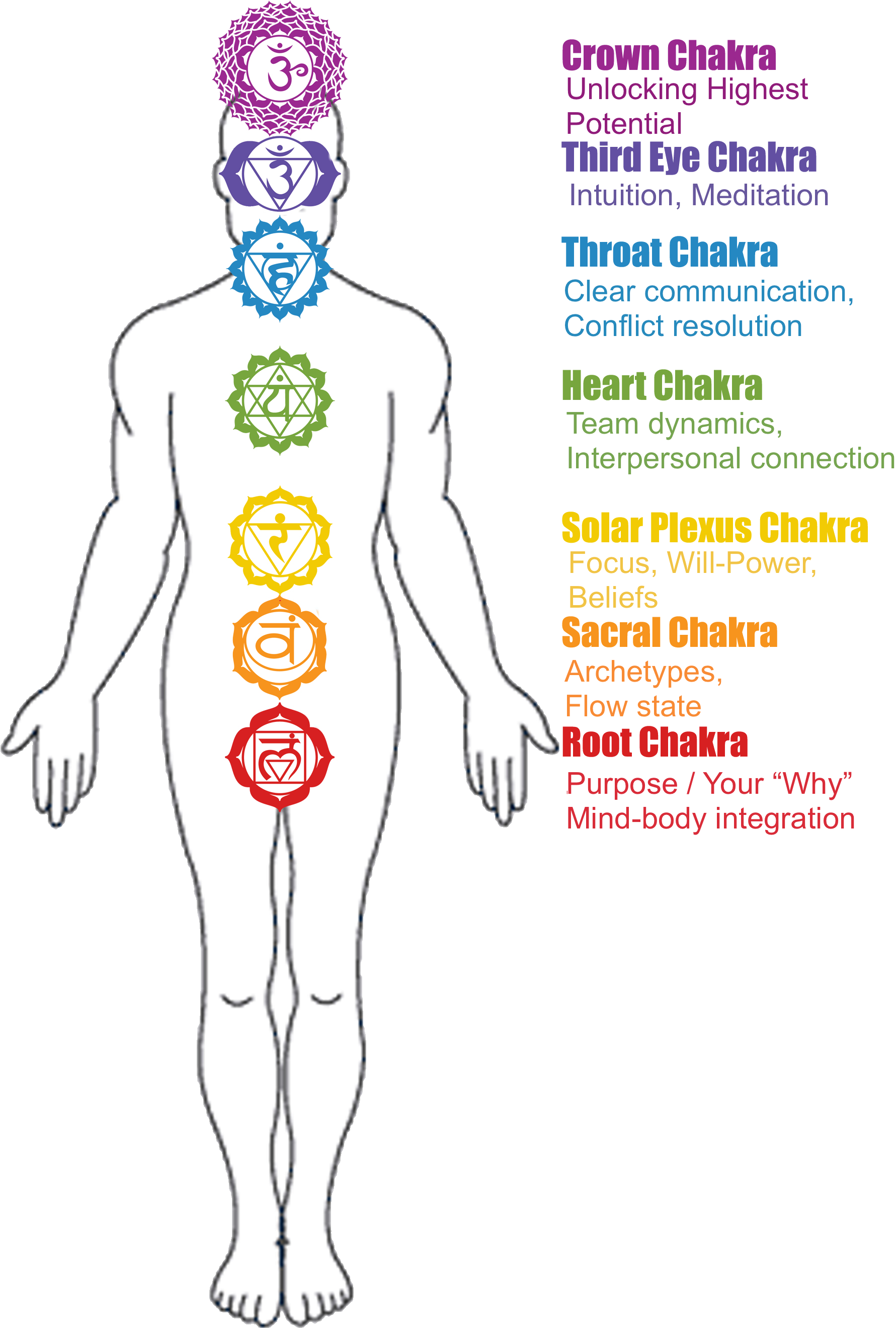 Download Startup Chakras Tt | Transparent PNG Download | SeekPNG
