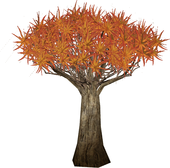 Treequiver Slice - Quiver Tree (569x561), Png Download