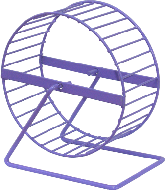 Iron Hamster Wheel King Fischer - Petsmart Hamster Wheel (425x425), Png ...