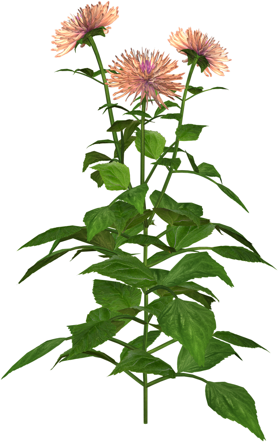 Free High Resolution Graphics And Clip Art - Clip Art (1131x1600), Png ...