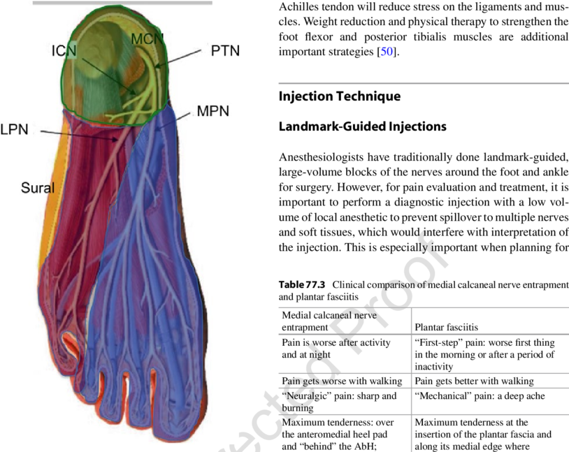 10 Sensory Map Of The Calcaneal And Plantar Nerves - Foot Nerve Map ...