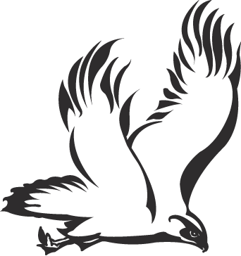 Download White Falcons Logo Transparent | Transparent PNG Download ...