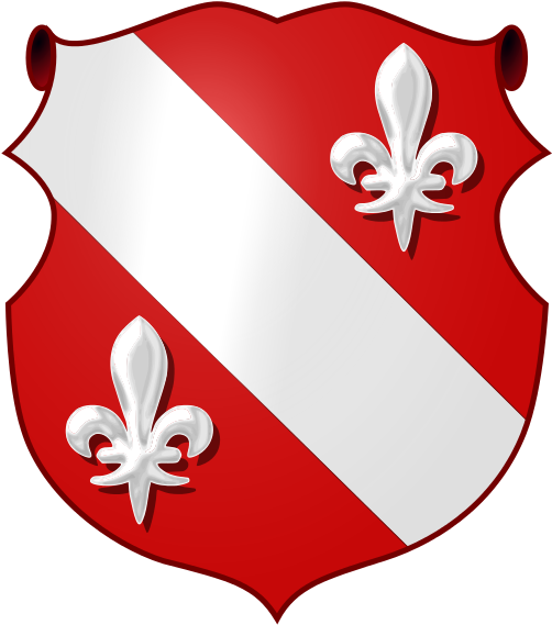 Coat Of Arms Template Png Download - Coat Of Arms Shield Png (531x599 ...
