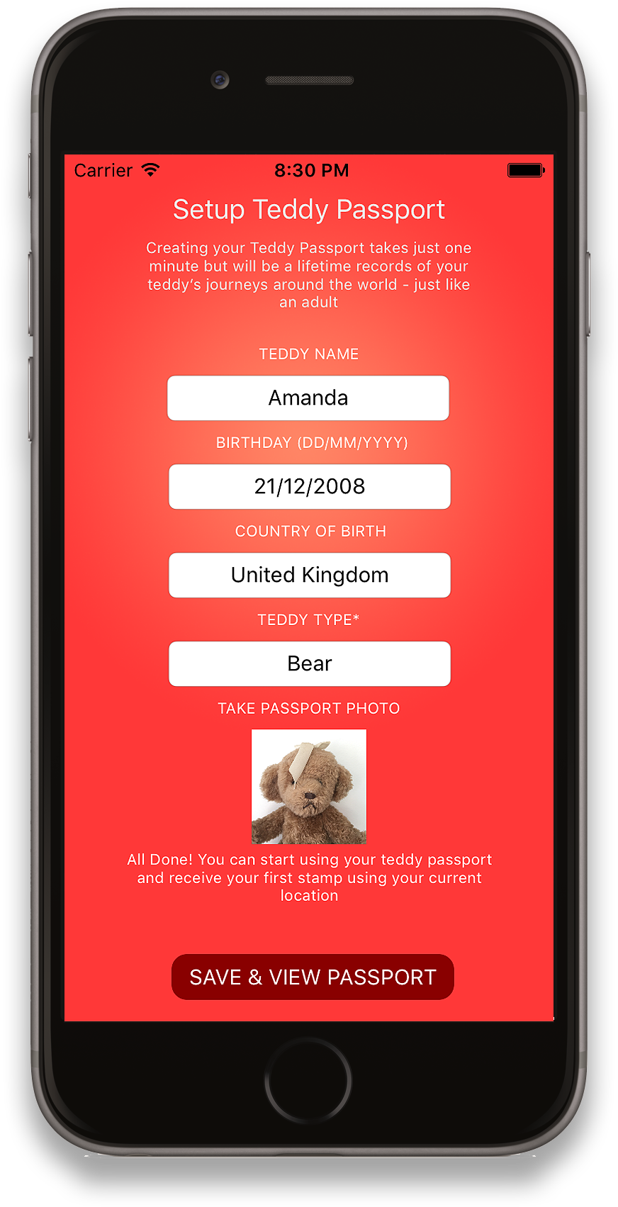 Teddy Bear Passport App & Pet Passport - Passport (1188x1790), Png Download