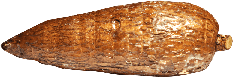 Download Free Png Cassava Png Images Transparent - Cassava Png ...