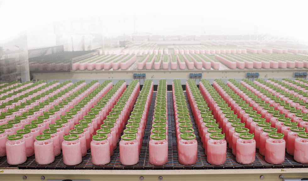 Yankee Candle Factory Assembly Line - Yankee Candle Factory (980x576 ...