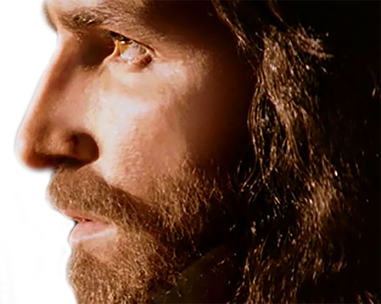 Jesus Face Png Clipart Black And White Stock (1251x1000), Png Download