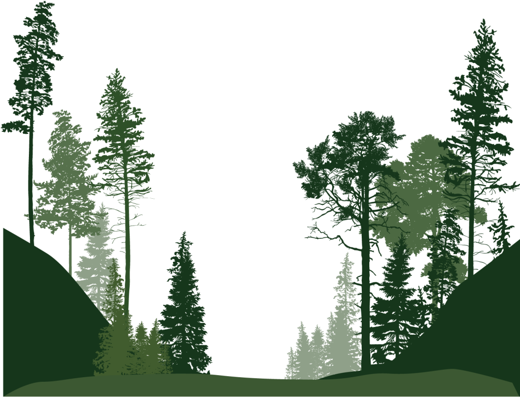 Forest Png Image File - Forest Tree Vector Png (1024x1024), Png Download