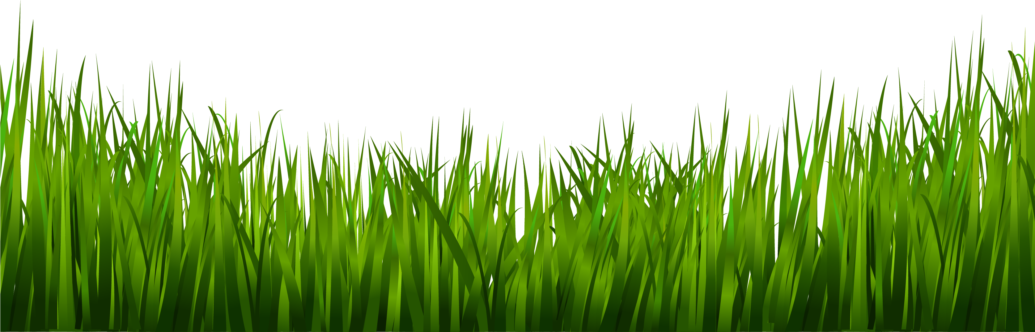 Share This Article - Grass Image Hd Png (3510x1499), Png Download