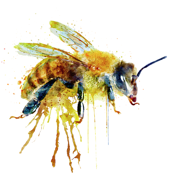 Download Bees Transparent Watercolor - Transparent Watercolor Bee ...