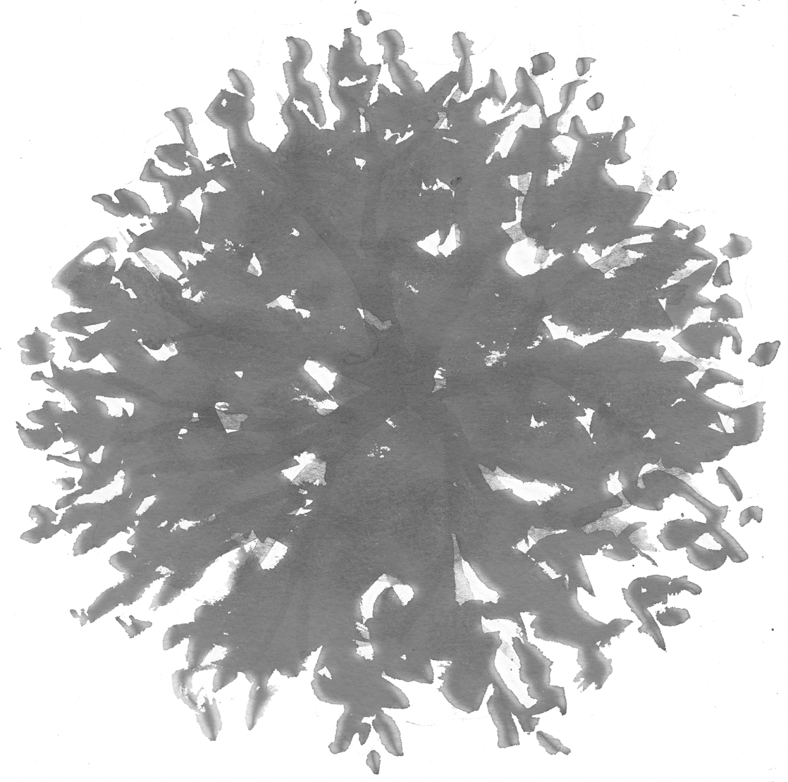 Download A Few Tree Blocks - Tree Png Floor Plan | Transparent PNG ...