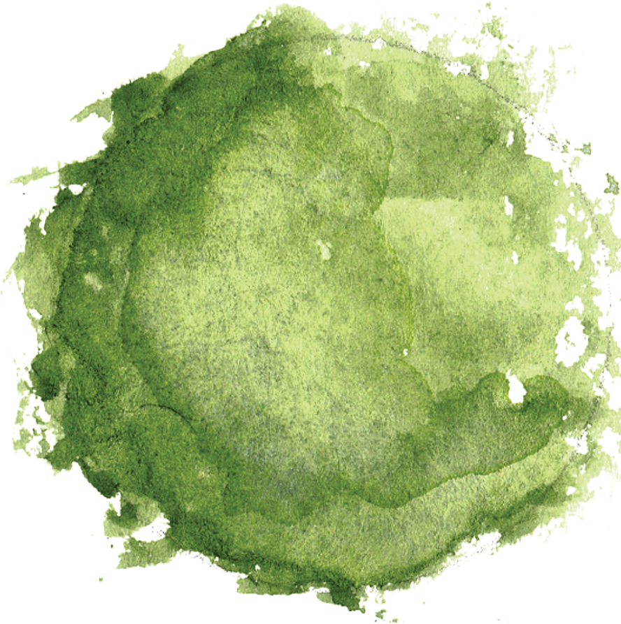 Png Plan Trees Picture Library Stock - Watercolor Trees Png Plan ...